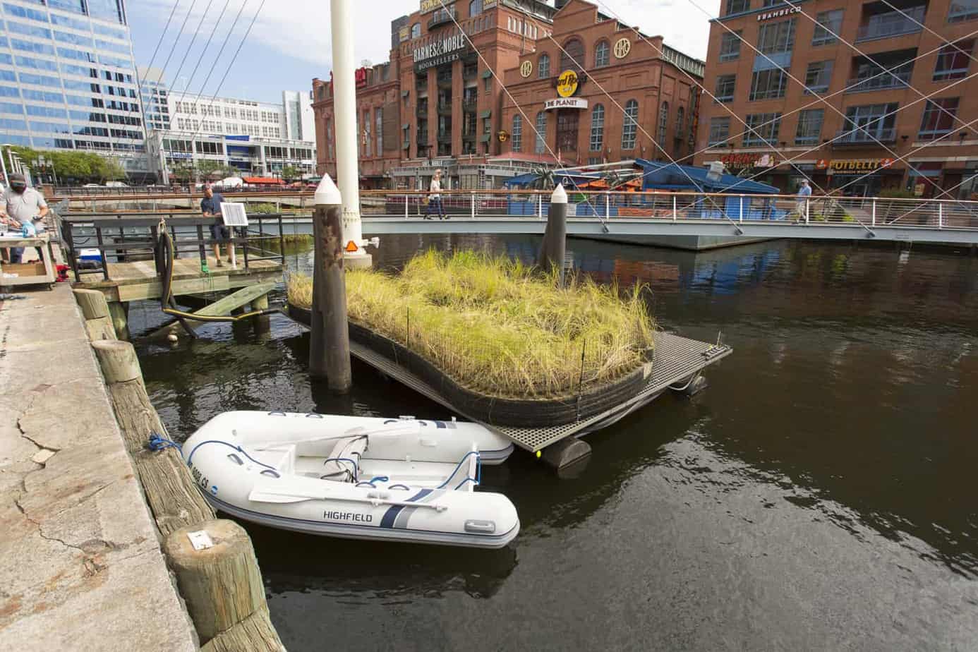 Baltimore Harbor's Water Quality Can Improve with Wetlands - McLaren